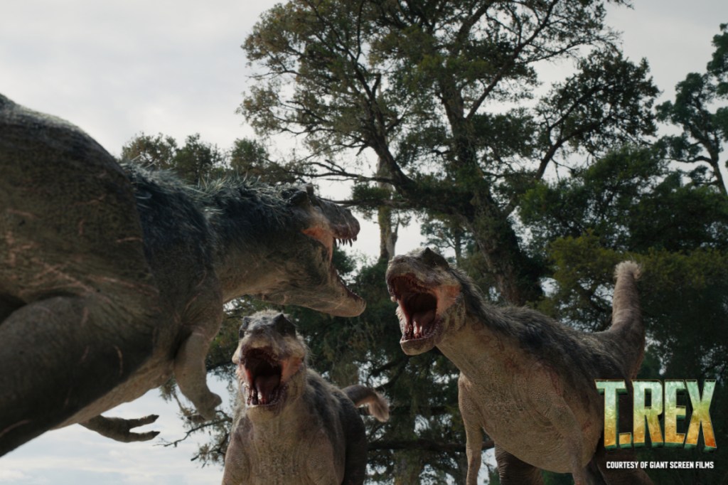 IMAX brings CGI T-Rex to life on Victoria’s biggest screen | Peninsula ...