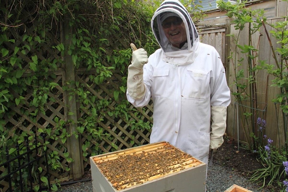 Buzz about bees: Greater Victoria swarm season starts early | Peninsula ...