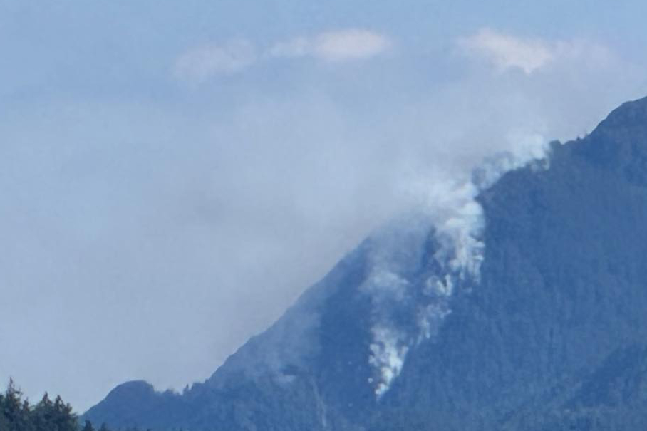 Bear Creek fire near Harrison no longer wildfire of note | Peninsula ...