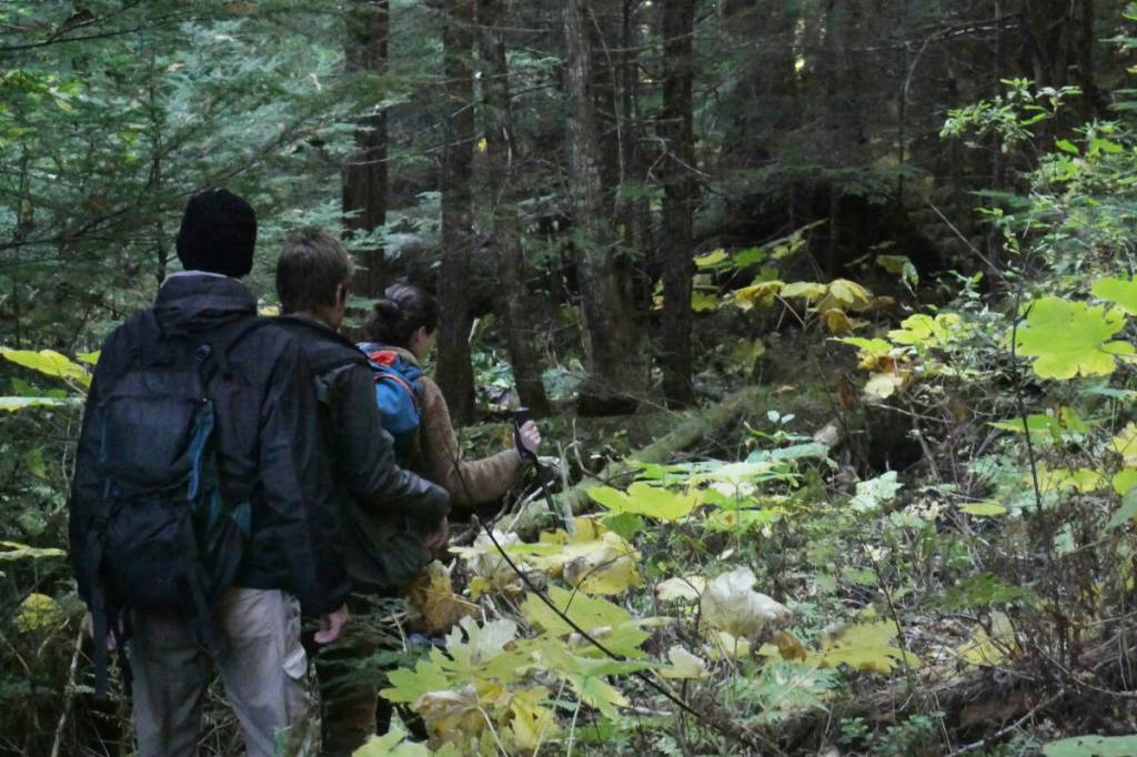 Film fuels biologist call to help protect unique B.C. old-growth ...