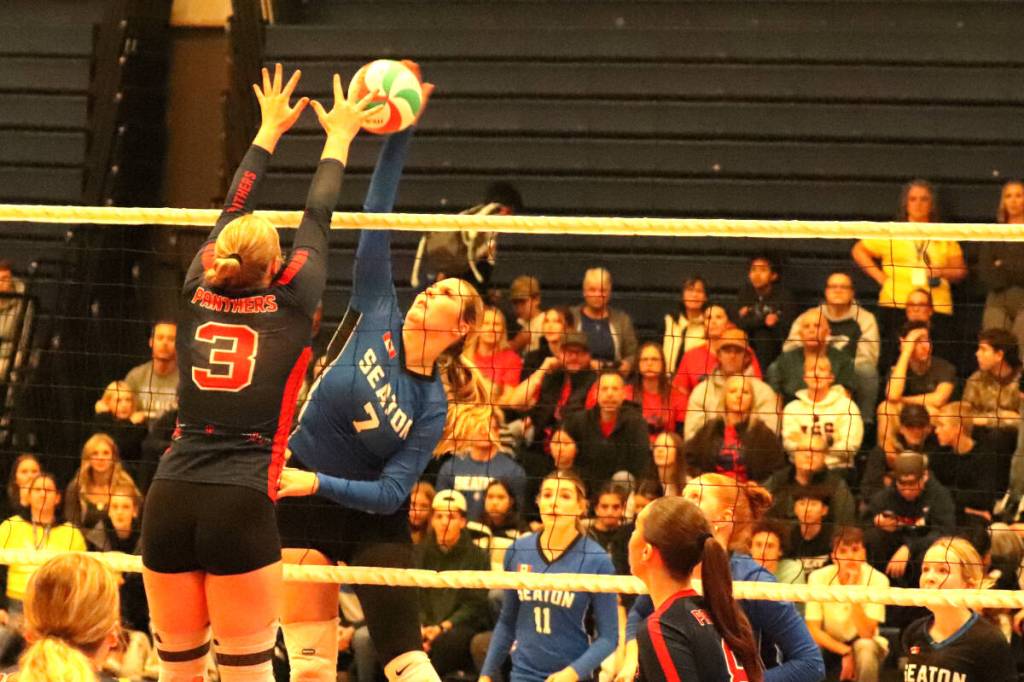 All-Vernon quarterfinal highlights Day 2 action at B.C. volleyball ...