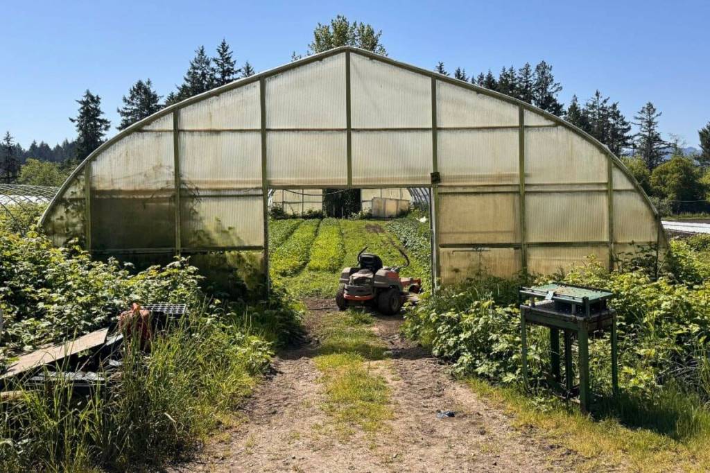 North Saanich approves $1.25M harvest hub under tight deadline ...